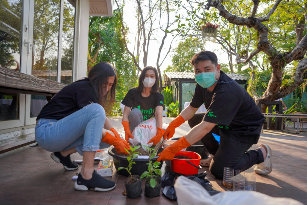 กิจกรรม Green Workshop “ปลูกผัก-ปลูกต้นไม้ ด้วยขยะ Recycle” - TERABYTE PLUS
